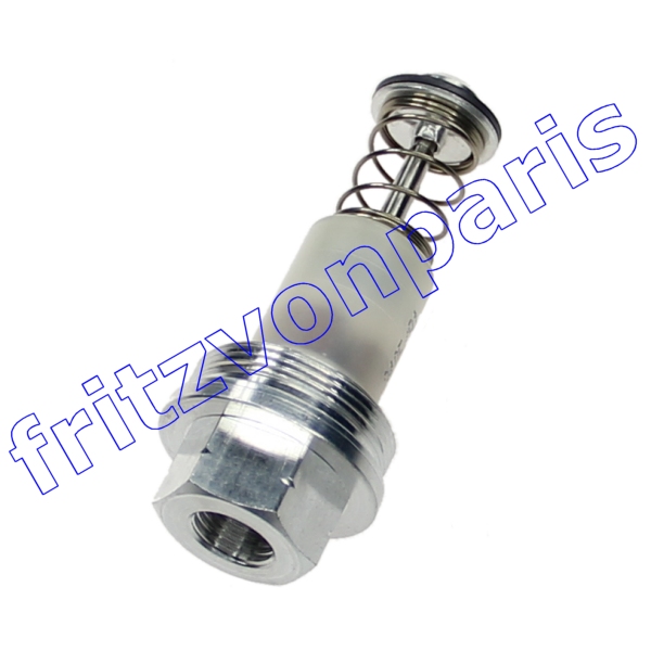 Fritz von Paris GmbH - Magneteinsatz JUNKERS CH330-340, M10x1